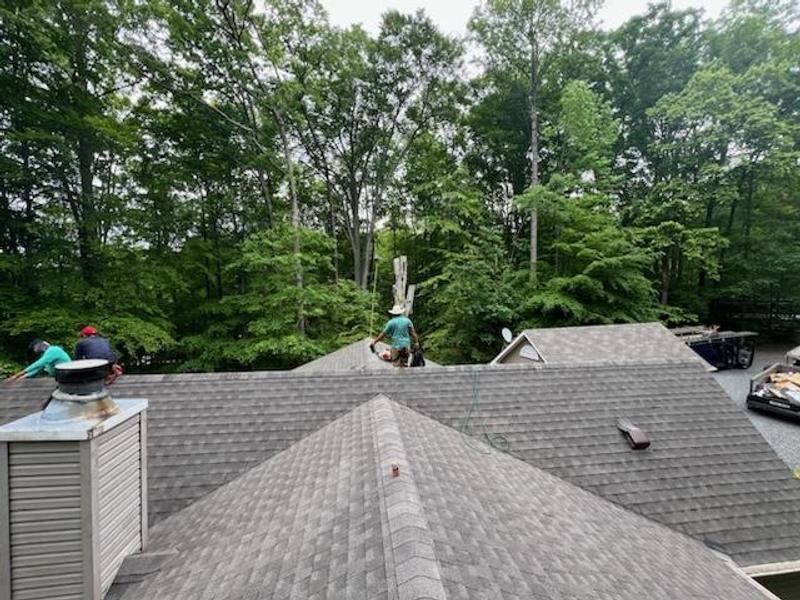 GAF Timberline Natural Shadow Weathered Wood Algae Resistant ...