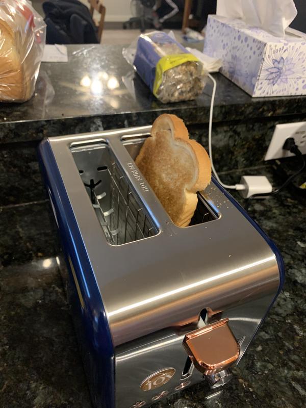 JOY Kitchen Stainless Steel 2-Slice Toaster (900-Watt) in the Toasters ...