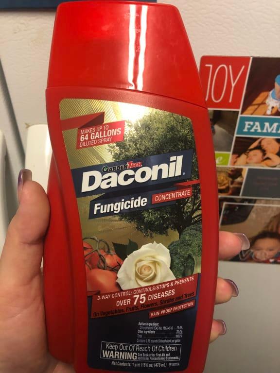 Garden Tech Daconil Fungicide Concentrate, 16 oz. at Tractor Supply Co