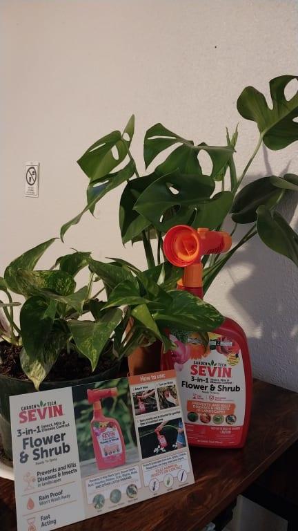 Sevin Ready to Spray 3-in-1 Flower/Shrub Mite and Disease Control ...