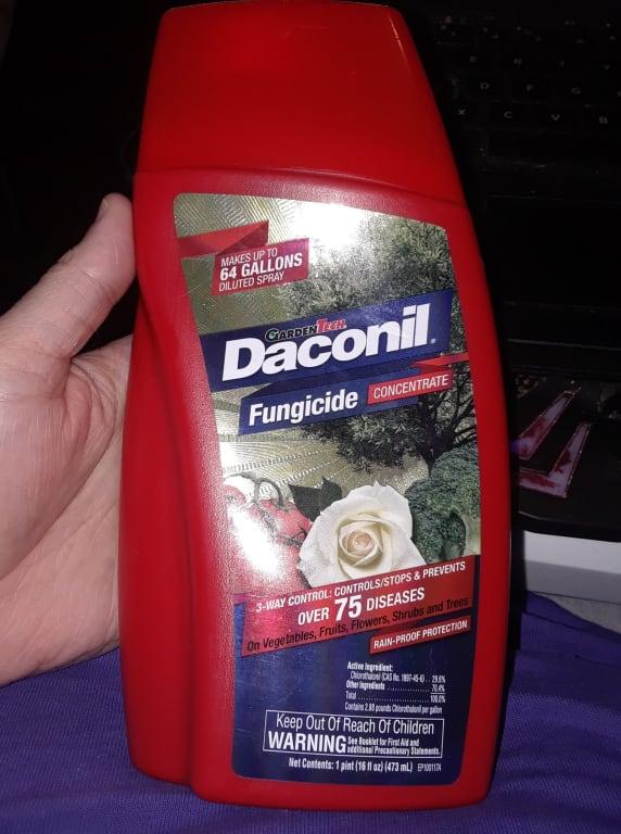 Garden Tech Daconil Fungicide Concentrate, 16 oz. at Tractor Supply Co