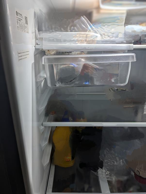GE 17.5-cu ft Top-Freezer Refrigerator with Ice Maker (Stainless Steel ...
