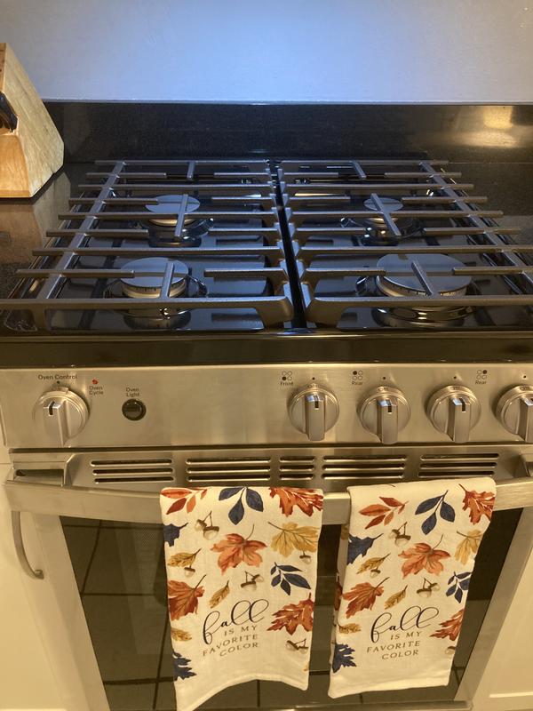 GE 24-in 4 Burners 2.9-cu ft Freestanding Natural Gas Range (Stainless ...