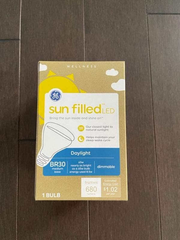 GE Sunfilled 65-Watt EQ Daylight Medium Base (E-26) Dimmable Light Bulb ...