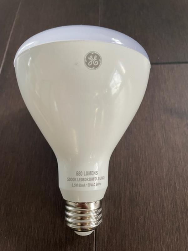 GE Sunfilled 65-Watt EQ Daylight Medium Base (E-26) Dimmable Light Bulb ...