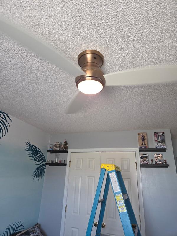 Generation Lighting Orbis 52 Hugger LED 52-in Satin Brass with Matte ...