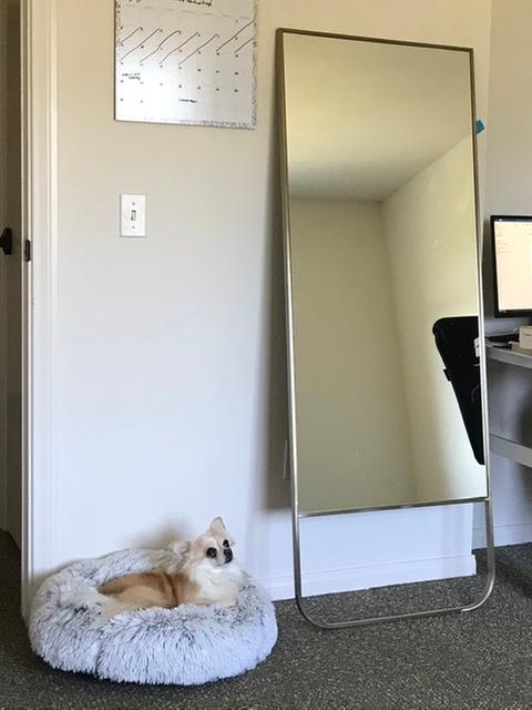 Glass Warehouse Kira 48-in W x 83-in H Arch Black Framed Full Length ...