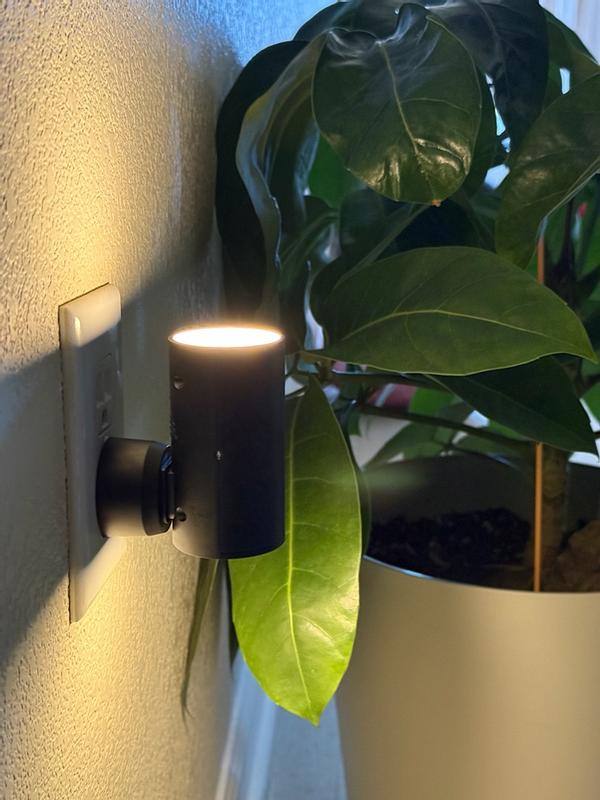 Globe Electric Black LED Auto On/Off Night Light in the Night Lights ...