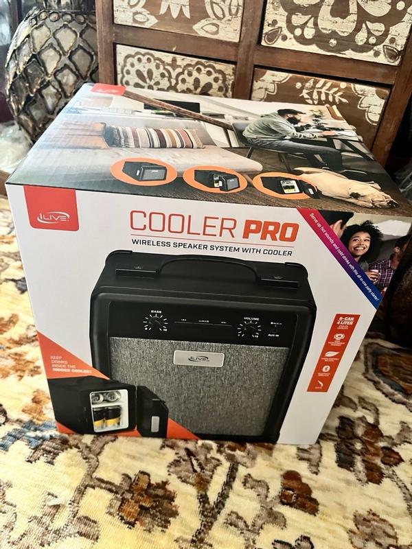 iLive Pro Wireless Speaker System Black 6 Cans Insulated Personal ...