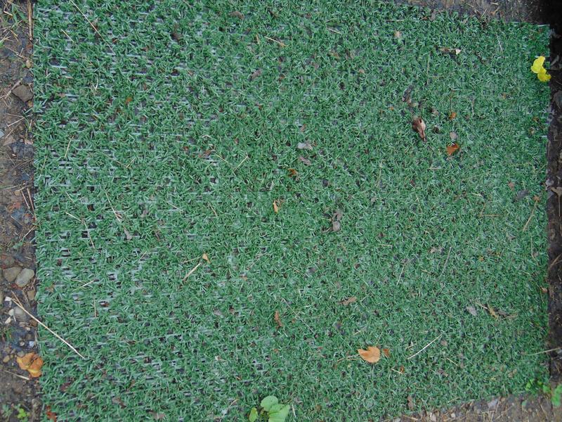 DURAGRASS Hybrid Turf Patch 2-ft-ft x 1.5-ft Artificial Grass 10377007 ...