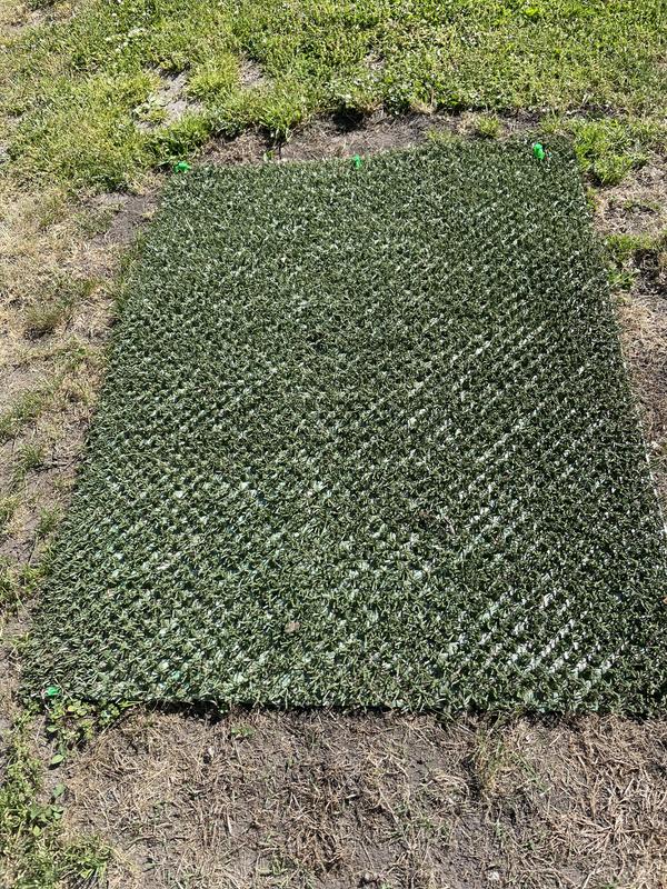 DURAGRASS Hybrid Turf Patch 2-ft-ft x 1.5-ft Artificial Grass 10377007 ...