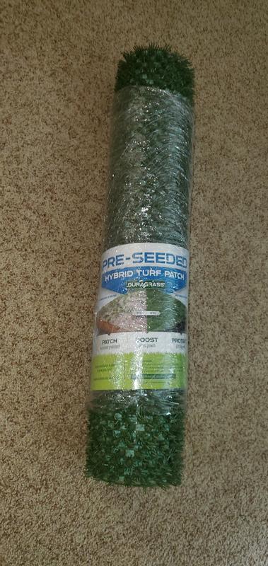 DURAGRASS Hybrid Turf Patch 2-ft-ft x 1.5-ft Artificial Grass 10377007 ...