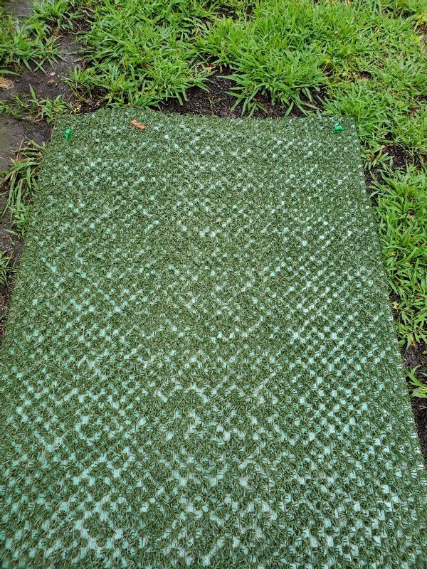 DURAGRASS Hybrid Turf Patch 2-ft-ft x 1.5-ft Artificial Grass 10377007 ...