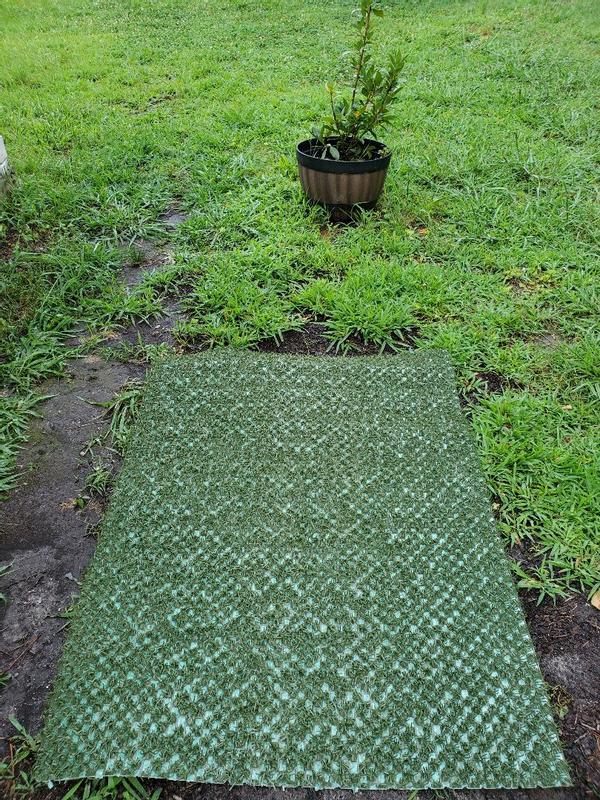 DURAGRASS Hybrid Turf Patch 2-ft-ft x 1.5-ft Artificial Grass 10377007 ...