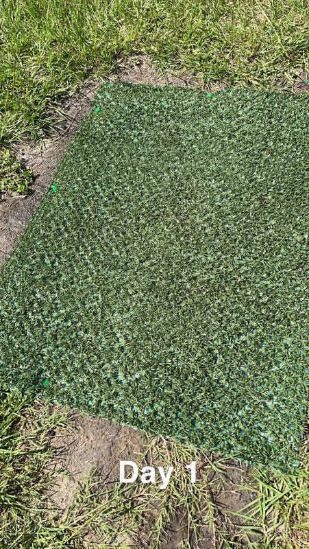 DURAGRASS Hybrid Turf Patch 2-ft-ft x 1.5-ft Artificial Grass 10377007 ...