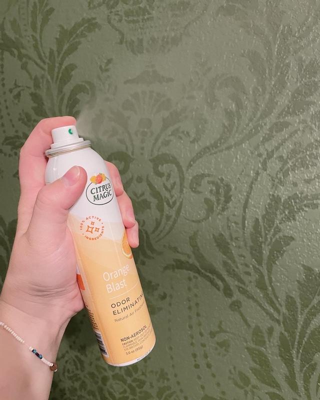 Citrus Magic 3-oz Orange Blast Dispenser Air Freshener 612112749 at ...