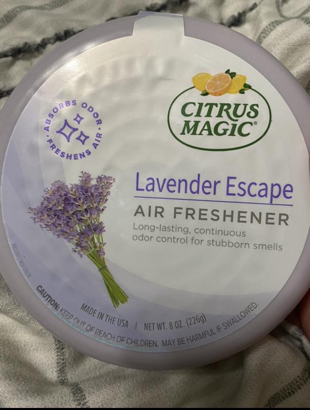 Citrus Magic 8-oz Lavender Dispenser Air Freshener (3-Pack) 616472505 ...