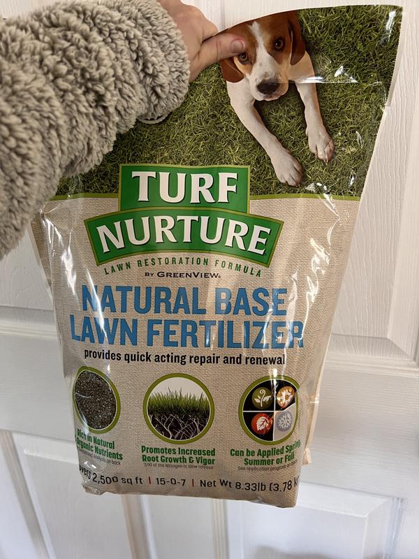 Lawn Enhancer Spray Green Lawnger Turf Paint – Restores Green Color To ...