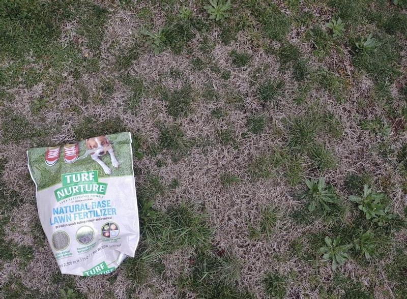 Turf Nurture 8.33 lb. 2,500 sq. ft. Natural Base Fertilizer at Tractor ...