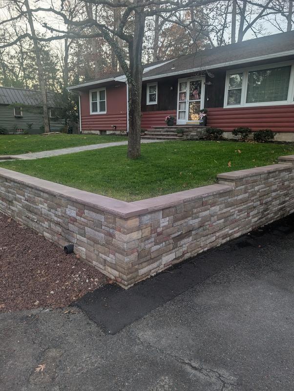 Greenworks Pro 60V 22 in. Brushless Cordless Battery Walk-Behind Self ...