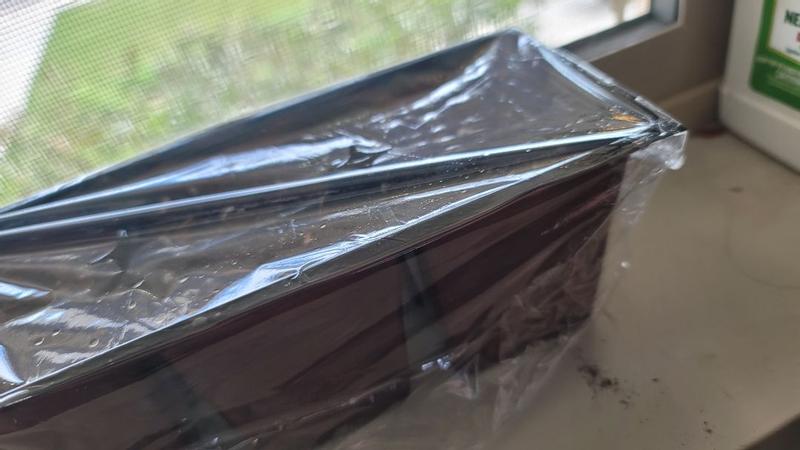 Ferry-Morse H DILL ELEPHANT in the Vegetable & Herb Seeds department at ...