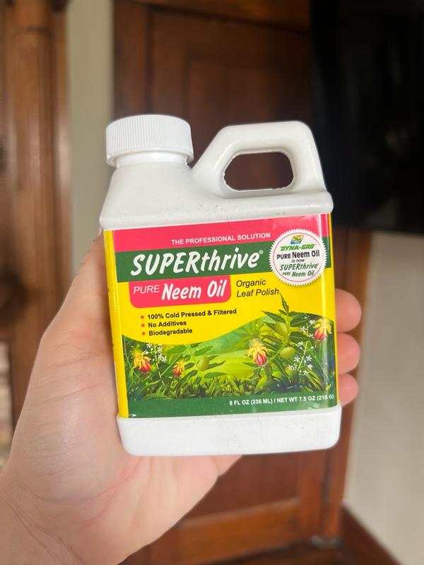 SUPERthrive Organic Neem Oil Leaf Polish 8 oz (3 Pack) in the Lawn ...