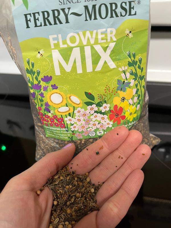 Ferry-Morse Ferry Morse Beneficial Bug Mix Bulk Wildflower Seeds 1lb in ...