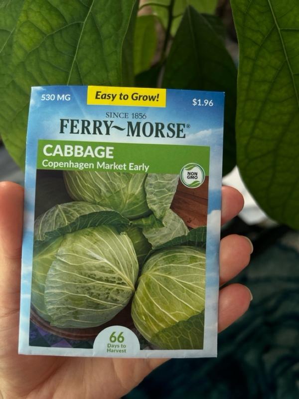 Ferry-Morse Cabbage Seeds 1.1 Gram(s) in the Vegetable & Herb Seeds ...