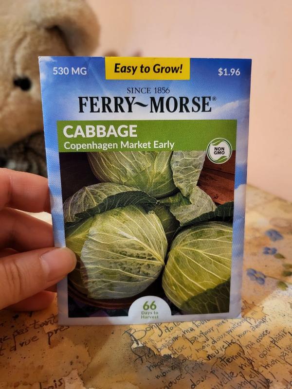 Ferry-Morse Cabbage Seeds 1.1 Gram(s) in the Vegetable & Herb Seeds ...