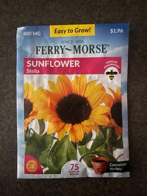 Ferry-Morse A SUNFLOWER STELLA in the Flower Seeds department at Lowes.com