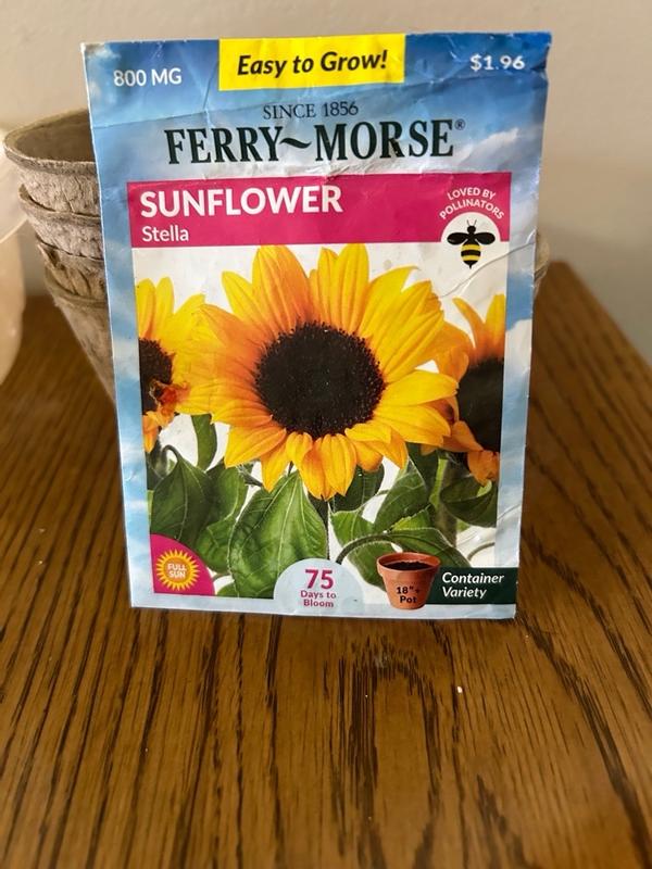 Ferry-Morse Sunflower Seeds 1 Gram(s) in the Flower Seeds department at ...