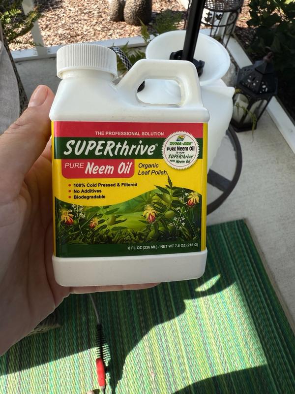 SUPERthrive Organic Neem Oil Leaf Polish 8 oz (2 Pack) in the Lawn ...