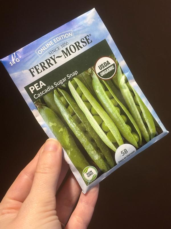Ferry-Morse Organic Pea Seeds 14 Gram(s) in the Vegetable & Herb Seeds ...