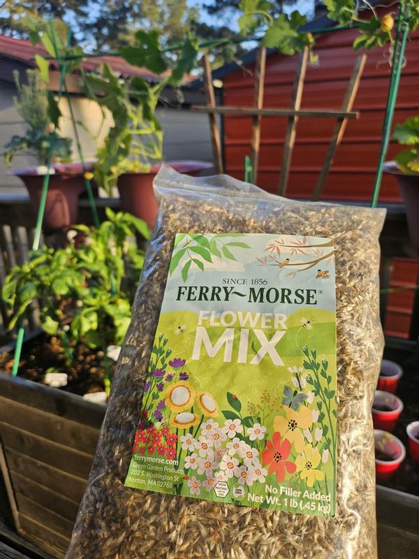 Ferry-Morse Ferry Morse Colorado Western Mix Bulk Wildflower Seeds 1lb ...