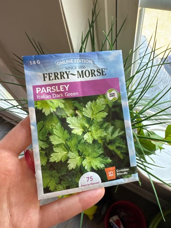 Ferry-Morse Parsley Seeds 1.8 Gram(s) in the Vegetable & Herb Seeds department at Lowes.com