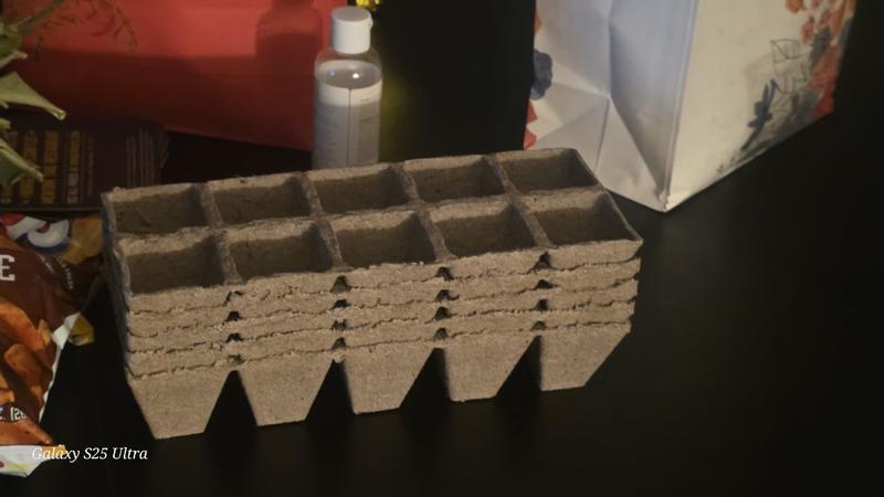 Jiffy JS50 Jiffy-Strips Biodegradable Seed Starting Peat Strip -50 ...