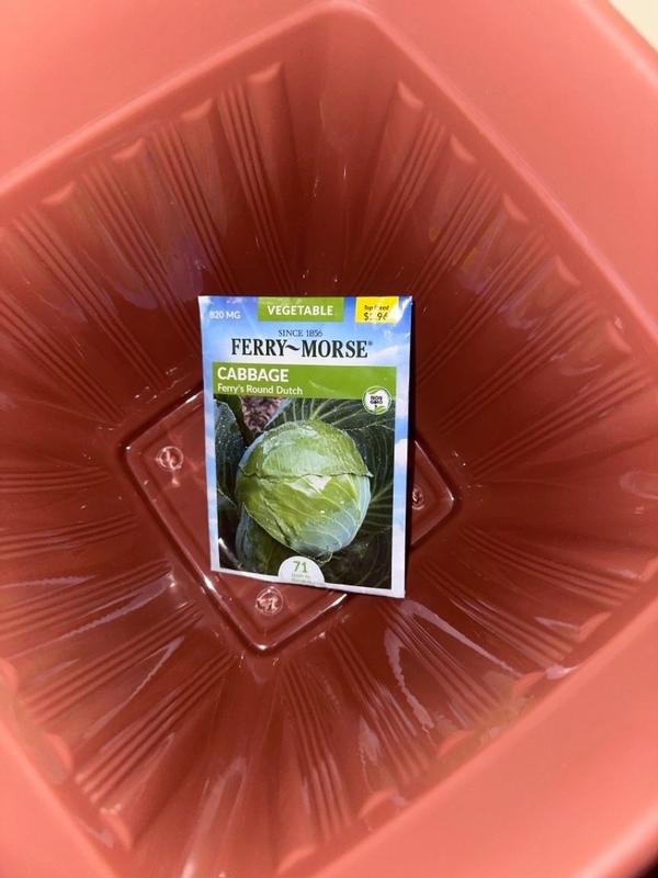 Ferry-Morse Cabbage Seeds 1.1 Gram(s) in the Vegetable & Herb Seeds ...