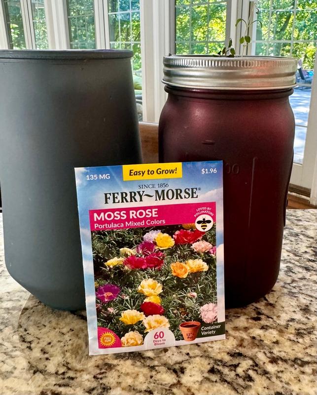 Ferry-Morse Mose Rose Seeds 300 Milligram(s) in the Flower Seeds ...