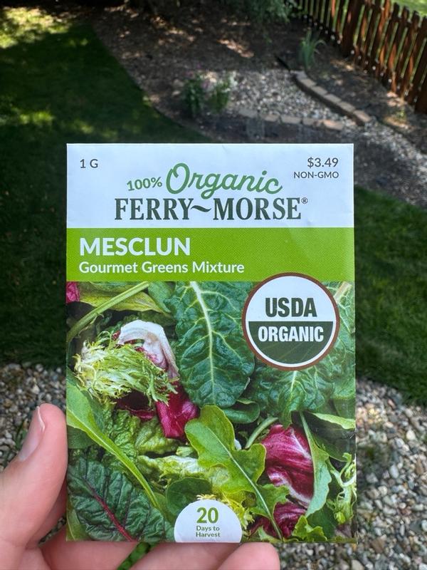 Ferry-Morse Organic Mesclun Seeds 1.8 Gram(s) in the Vegetable & Herb ...
