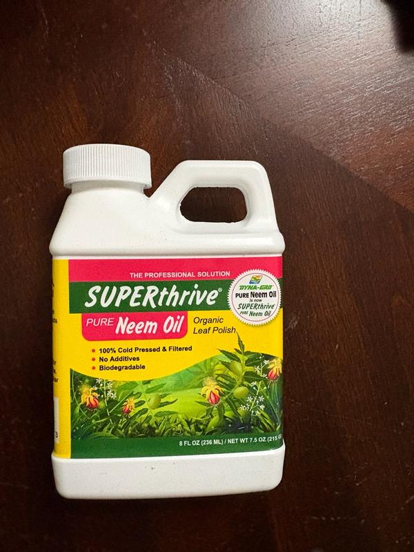 SUPERthrive Organic Neem Oil Leaf Polish 8 oz (2 Pack) in the Lawn ...