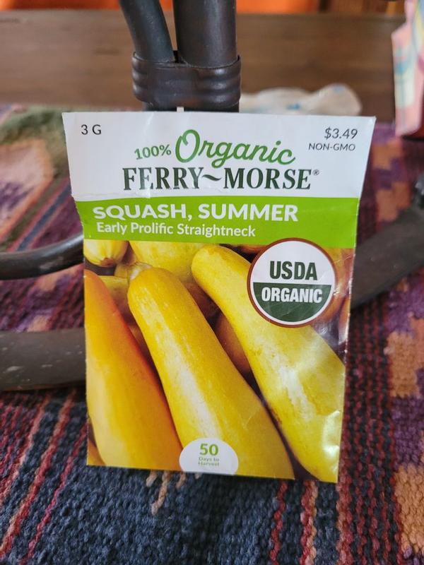Ferry-Morse Organic Squash Seeds 5.3 Gram(s) in the Vegetable & Herb ...