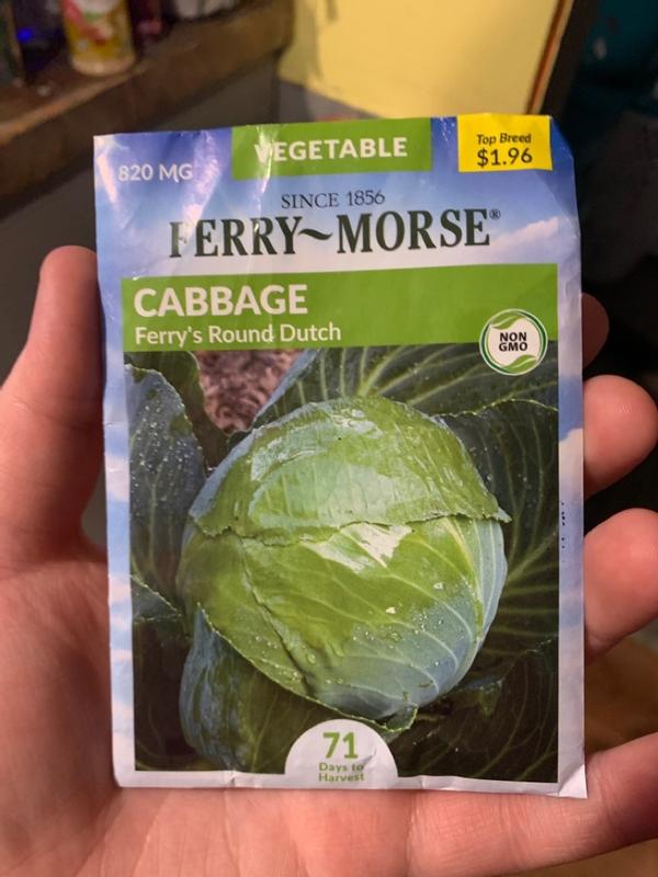 Ferry-Morse Cabbage Seeds 1.1 Gram(s) in the Vegetable & Herb Seeds ...