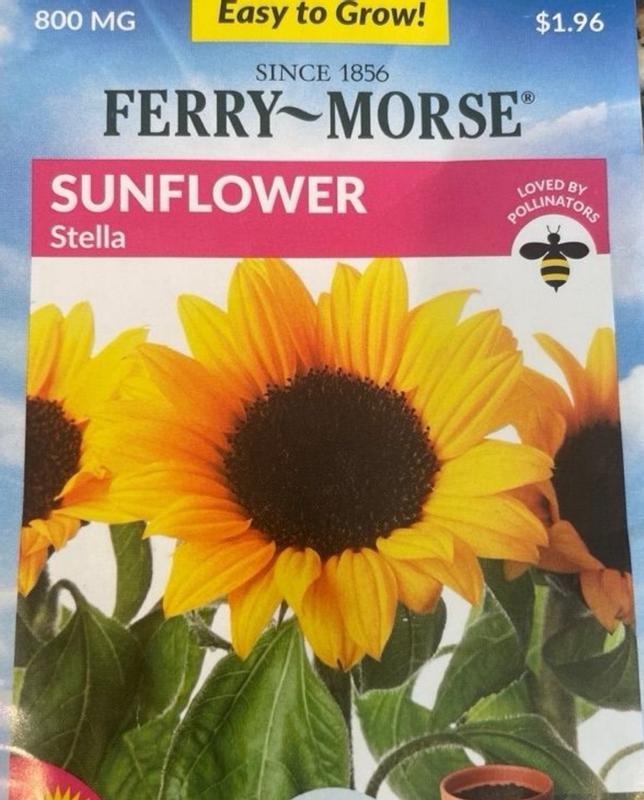 Ferry-Morse A SUNFLOWER STELLA in the Flower Seeds department at Lowes.com
