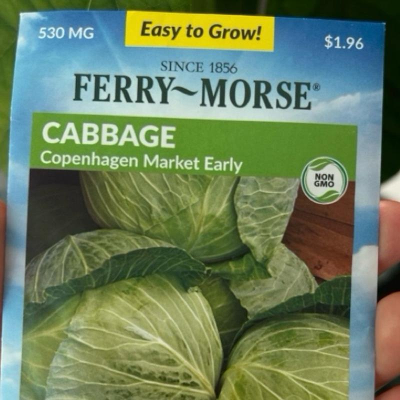 Ferry-Morse Cabbage Seeds 1.1 Gram(s) in the Vegetable & Herb Seeds ...