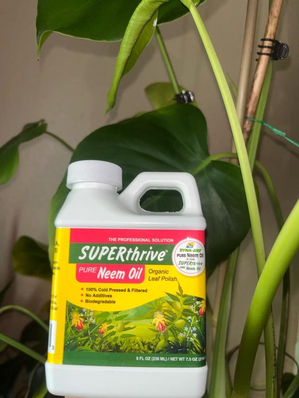 SUPERthrive Organic Neem Oil Leaf Polish 8 oz (3 Pack) in the Lawn ...