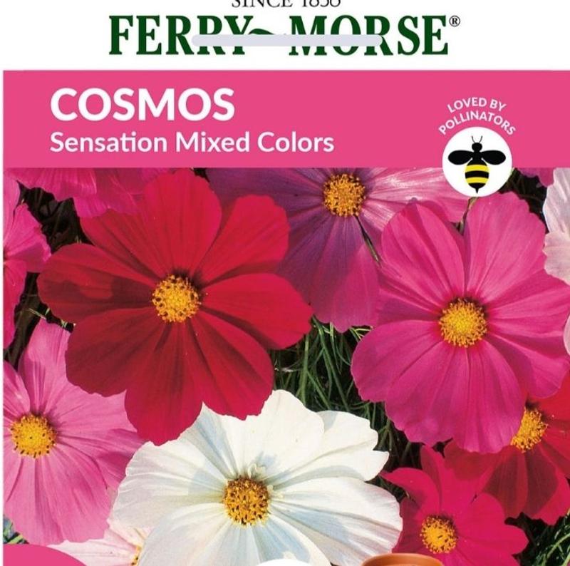 Ferry-Morse Cosmos Seeds 1.3 Gram(s) in the Flower Seeds department at ...