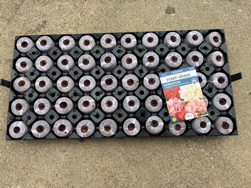 Char Coir Pre-Filled Coco Coir Propagation Insert Tray, 50-Cell, Fits ...