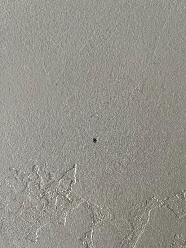 DAP DryDex White Interior/Exterior Color-Changing , Spackling 8 Fluid ...