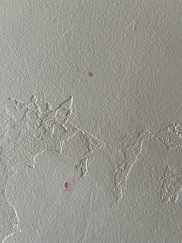 DAP DryDex White Interior/Exterior Color-Changing , Spackling 8 Fluid ...