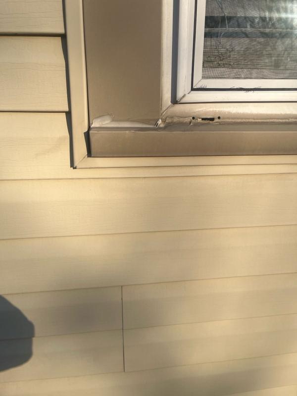DAP Polymer-based Gray Multi-use Exterior Construction Adhesive (8.6 ...